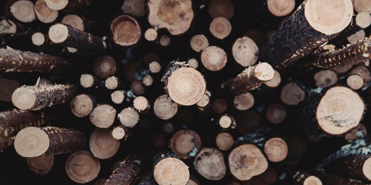 DIY Timber Framing: Garden Marvels Await — Timber DIY