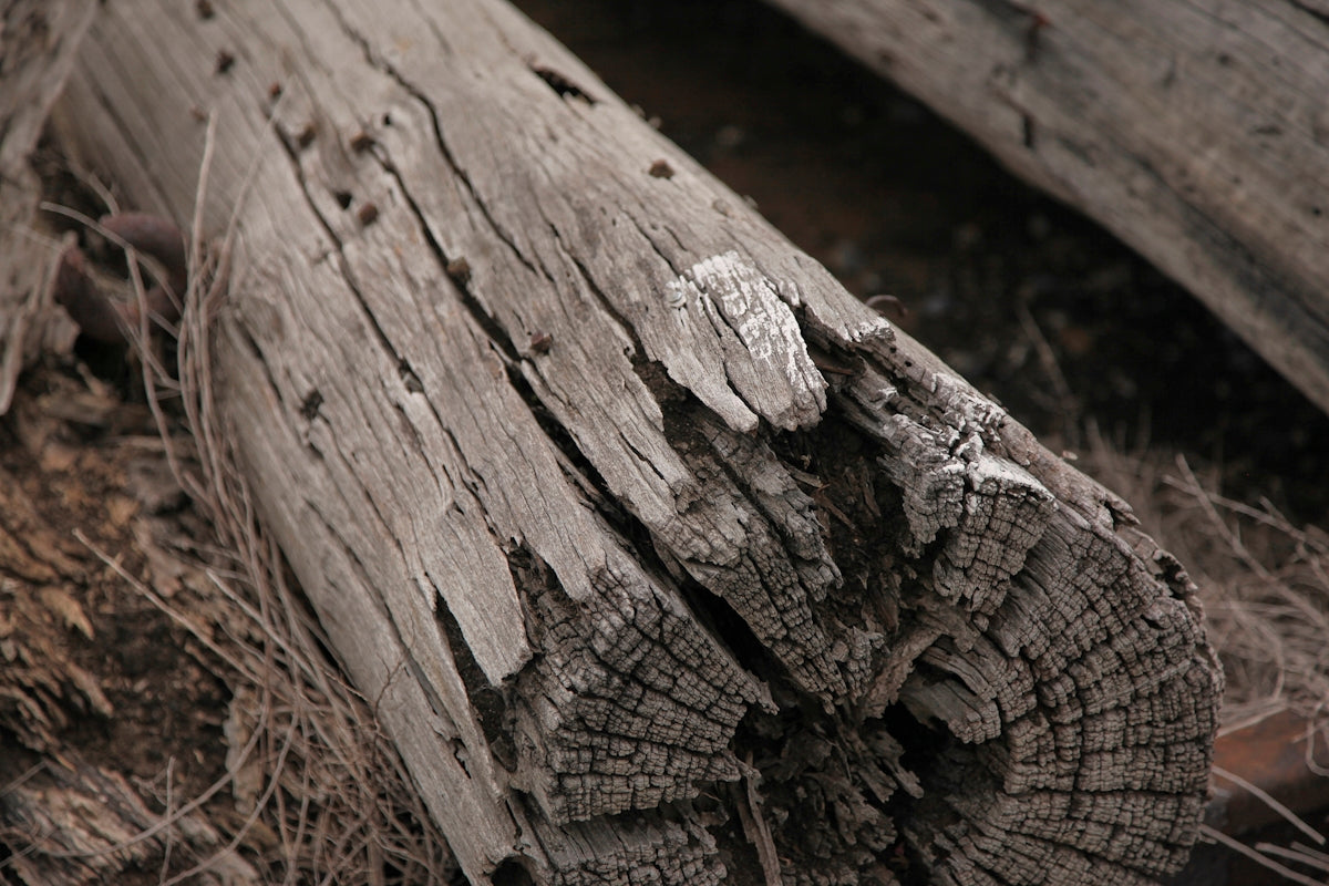 Essential Timber Framing for Woodworking Marvels — Timber DIY